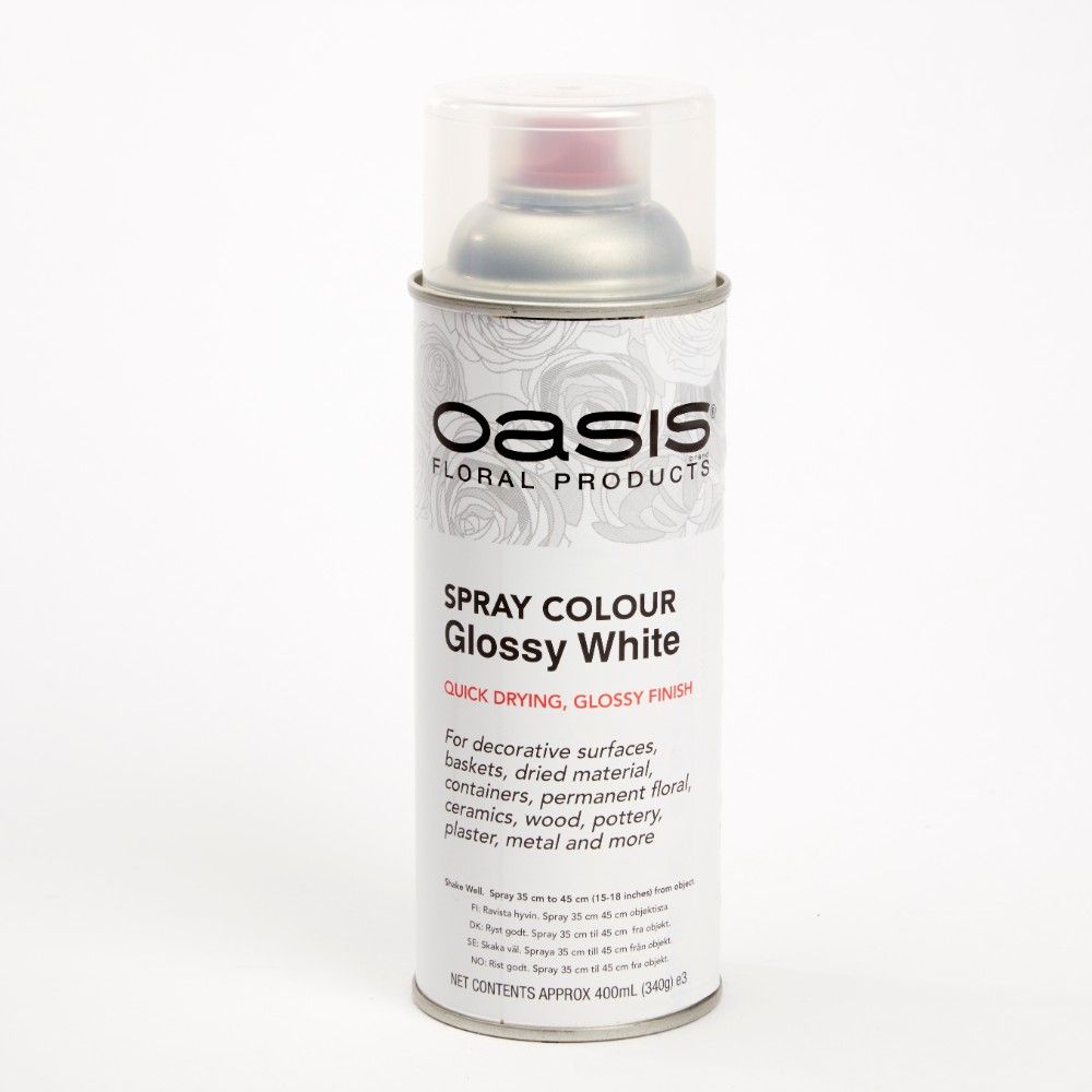 OASIS® Spray Paint Colours - Glossy White - 400ml — Artificial Floral ...