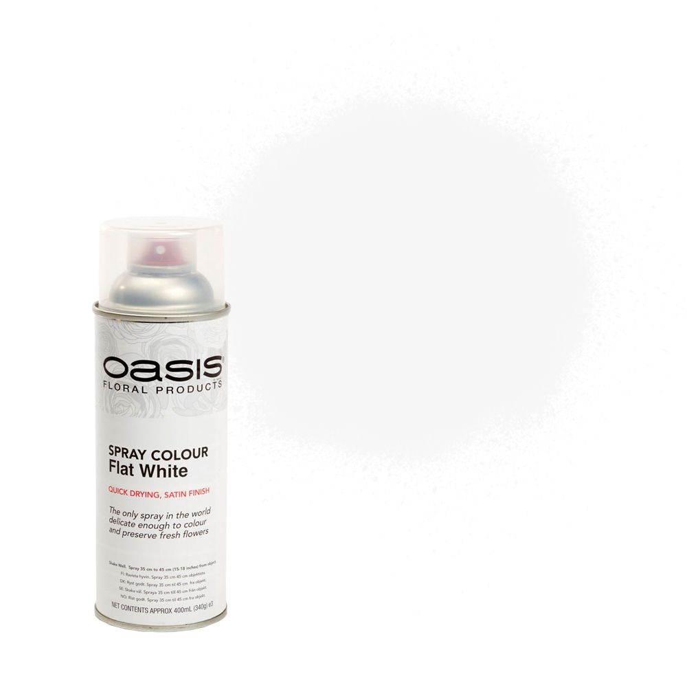 OASIS® Spray Paint Colours - Flat White - 400ml — Artificial Floral ...