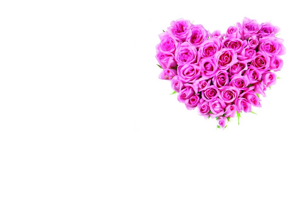 Valentine Florist Message Cards - Pink Rose Heart - Pack of 50 ...