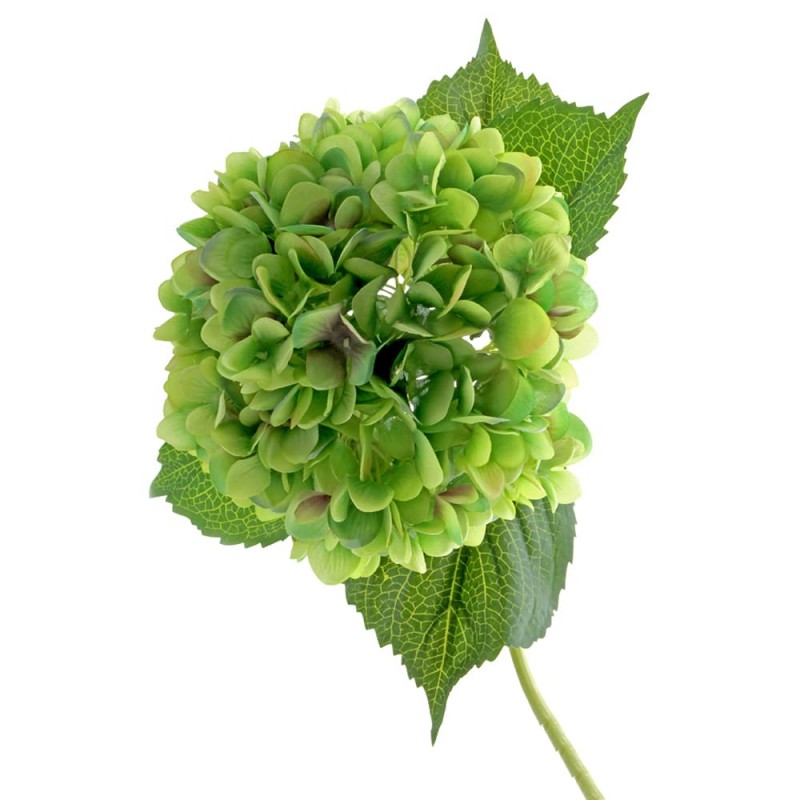 Single Hydrangea Flower Stem - Green - 19cm Diameter, 82cm Length ...
