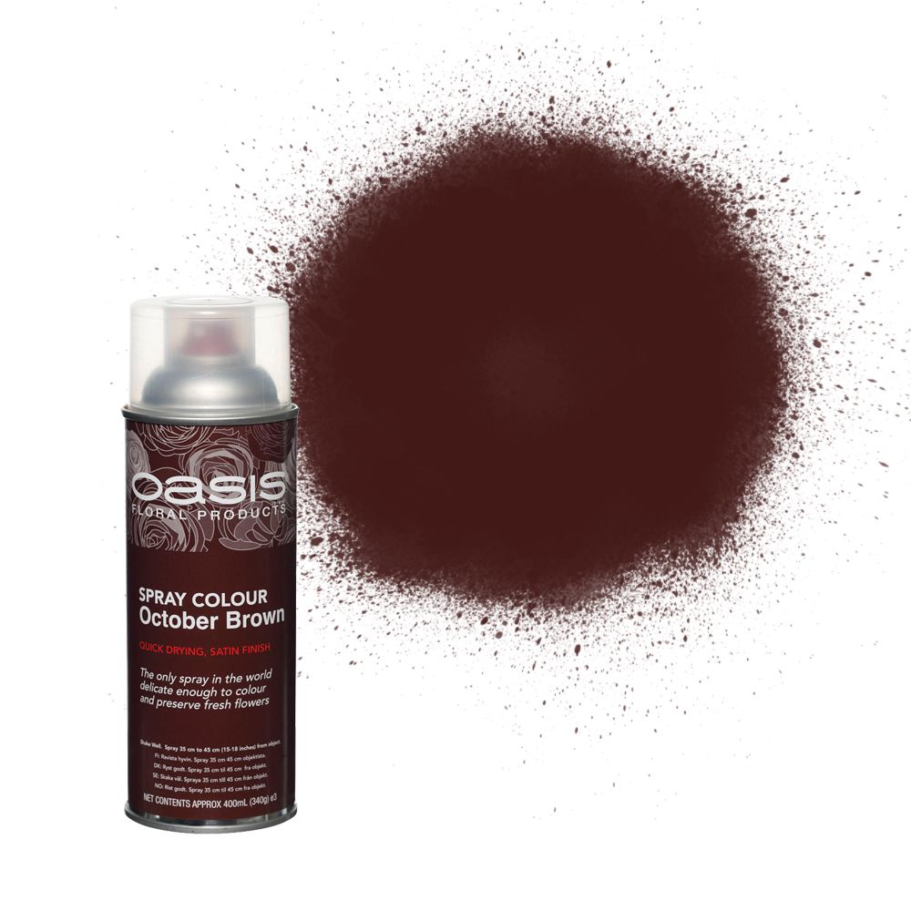 OASIS® Spray Paint Colours - October Brown - 400ml — Artificial Floral ...