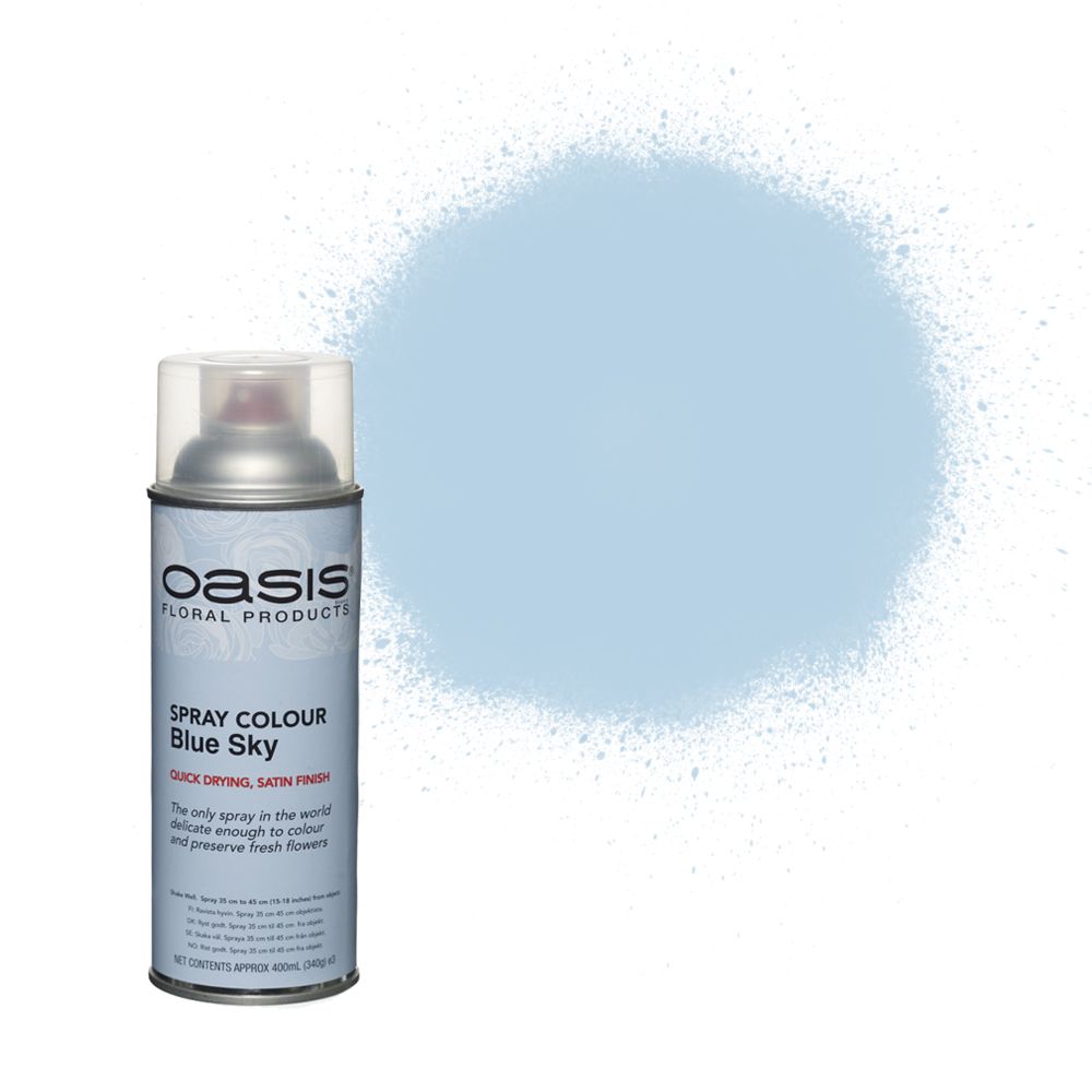 OASIS® Spray Paint Colours - Blue Sky - 400ml — Artificial Floral Supplies