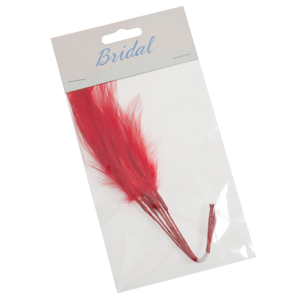 Narrow Feathers x 6 - Red — Artificial Floral Supplies