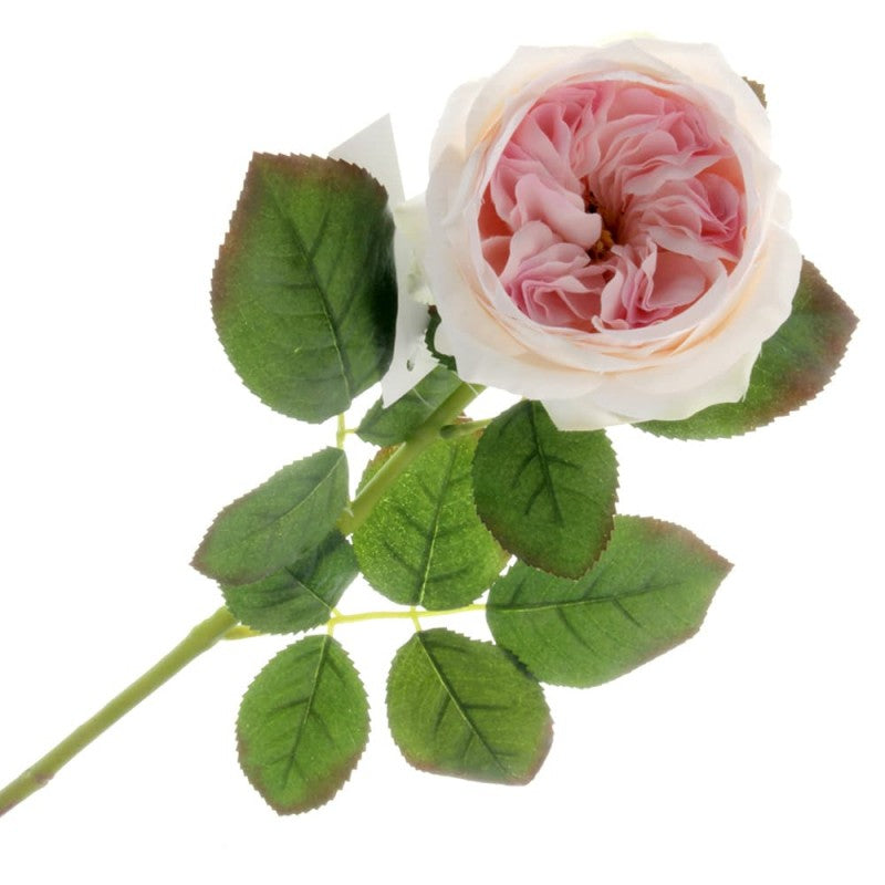 Garden Rose - Light Pink (60cm long) — Artificial Floral Supplies