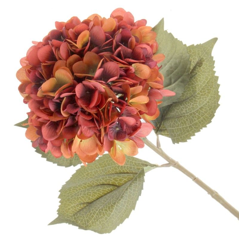 Single Hydrangea - Burnt Orange (19cm diameter, 82cm long) — Artificial ...